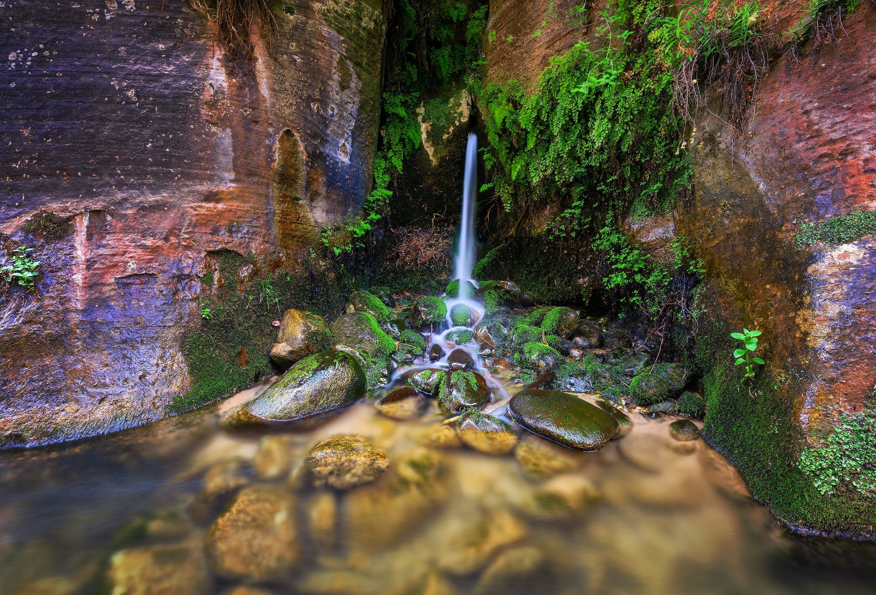 Weaving Wisdom: A Gathering for the Ages | Zion Natl Park Forever Project
