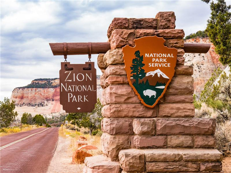 Zion Forever Project
