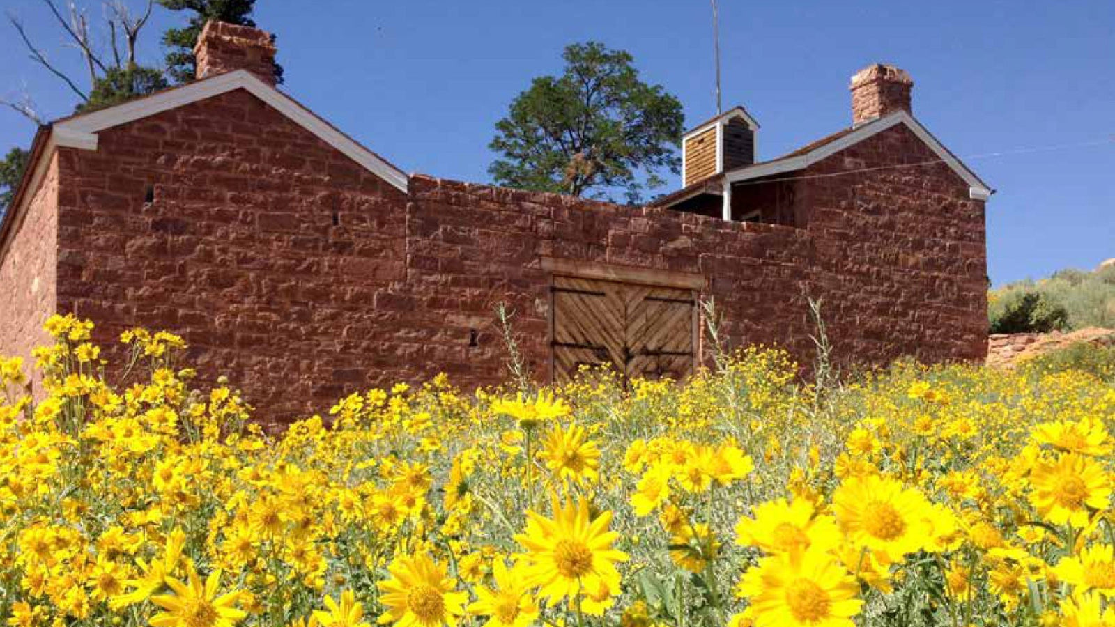 pipespring | Zion Natl Park Forever Project