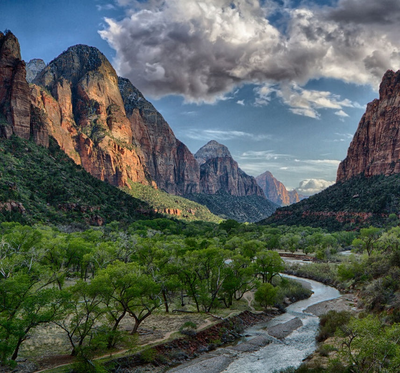 Zion Forever Project