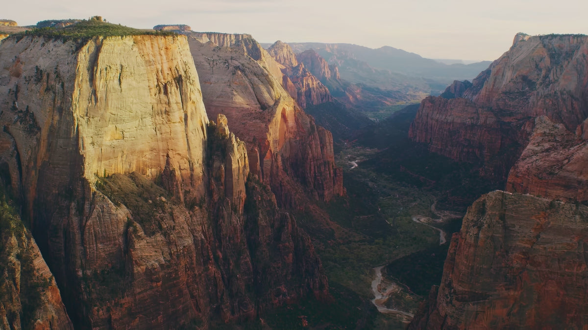 Zion Forever Project